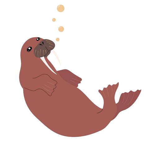 Premium Vector Cute Cartoon Walrus Isolated On White Background