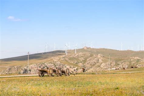 Old Dray In Huanghuagou Huitengxile Grassland Near Hohhot Inner
