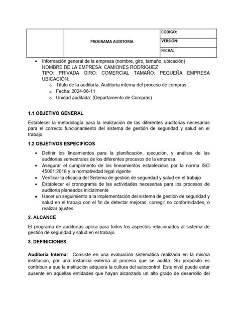 Programa De Auditoria Interna Pdf Auditoría Contralor