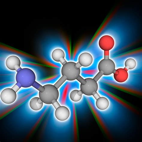 Why Are Nnmt Inhibitors So Popular A Comprehensive Overview Lifestyle By Ps