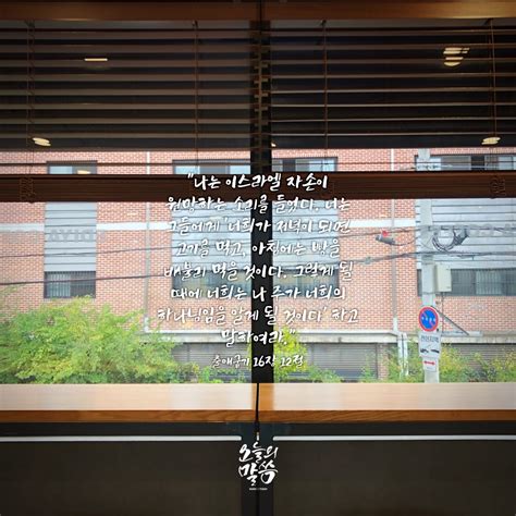 오늘의말씀 나는 이스라엘 자손이 원망하는 소리를 들었다 너는 그들에게 너희가 저녁이 되면 고기를