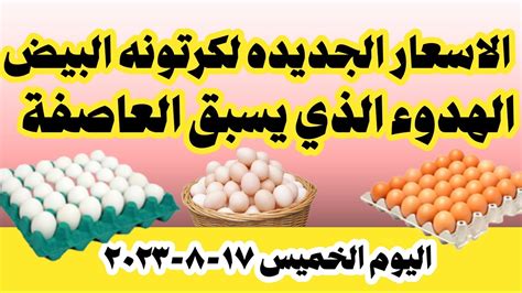 اسعار البيض اليوم سعر البيض اليوم الخميس ١٧ ٨ ٢٠٢٣ في المحلات في مصر