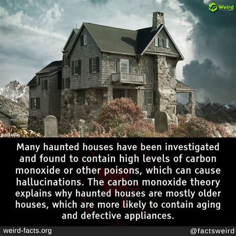 50 “weird Facts” That You Might Not Have Known Before Today New Pics