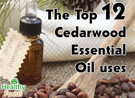 The Top 12 Cedarwood Essential Oil Uses Healthy Focus