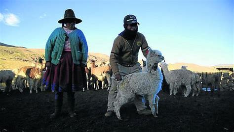 Temperatura Descenderá Hasta 10°c En Las Partes Altas De Arequipa