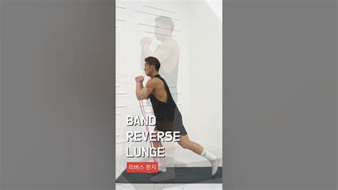 튜빙 라텍스 밴드를 이용한 전신운동 홈트레이닝 스쿼트 데드리프트 런지 Youtube