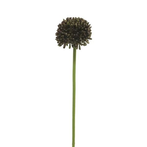 K Nstliche Blume Zierlauch Yiyang Dunkelviolett Cm