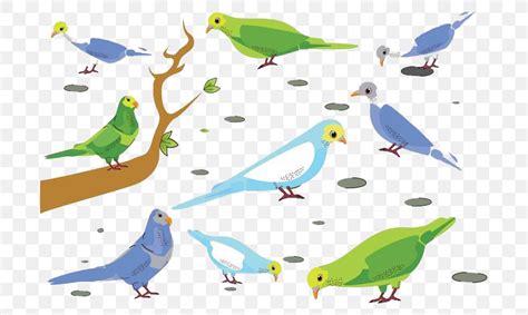 Budgerigar Parrot Bird Clip Art Png 700x490px Budgerigar Area Beak