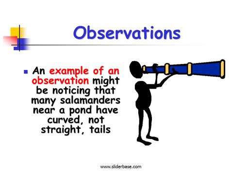 Examples Of Observation In Science