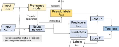 Figure 1 From Advanced Multi Microscopic Views Cell Semi Supervised Segmentation Semantic Scholar