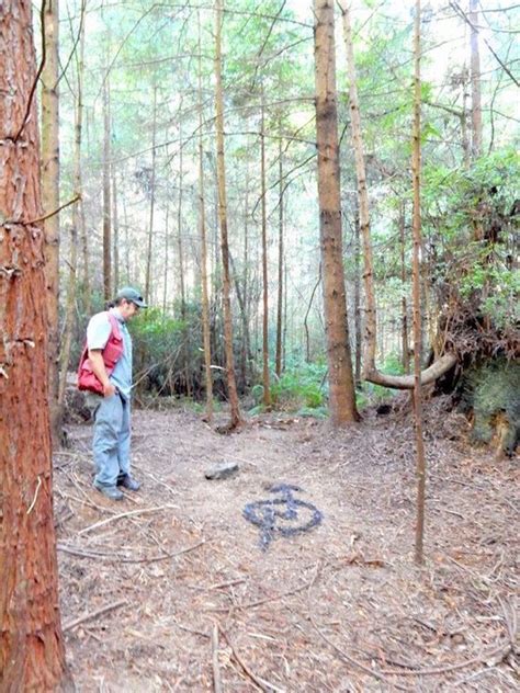 Creepy Cabin In The Woods Holds A Mystery Within Barnorama
