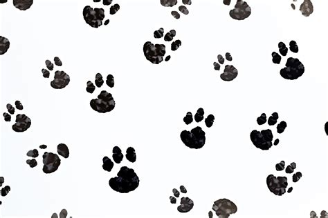 Paws Pattern Background Graphic By Creative World · Creative Fabrica