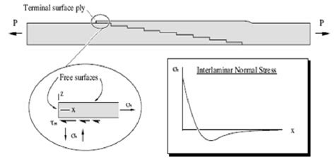 The Section Of An Isotropic Global Model Surrounding The Lower Ply