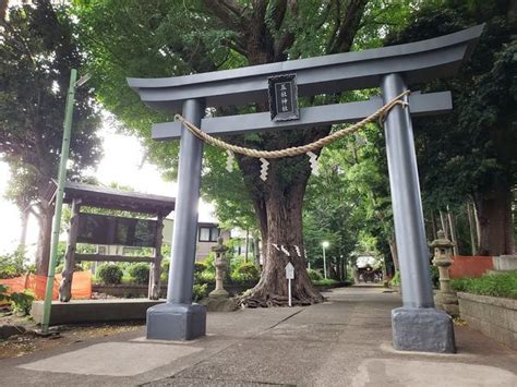 神奈川県綾瀬市 五社神社沢山の御神木にパワーを貰える神社 ぶらりうぉーかー