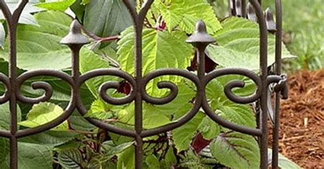 Different Types Of Garden Fences Bless My Weeds