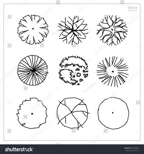 Set Tree Plan Symbols Use Architectural Stock Vector 285406001