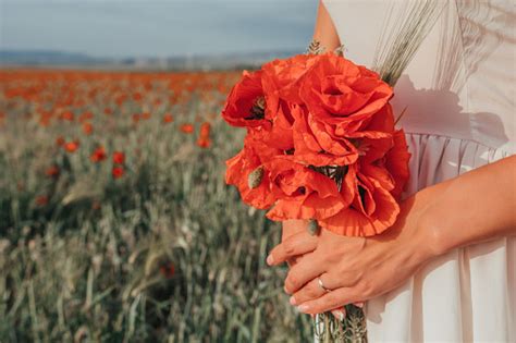 양귀비 꽃다발을 들고 흰색 드레스를 입은 신부 붉은 양귀비 들판의 배경에 따뜻한 일몰 시간 공간을 복사합니다 평온함 침묵