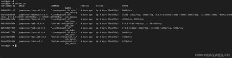 匹敌mobaxterm的另一个终端工具windtermwindterm和mobaxterm对比 Csdn博客