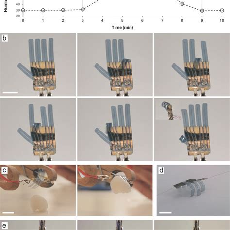 Passive Bending Motion Of A Beam Caused By Variations In The Rh Level
