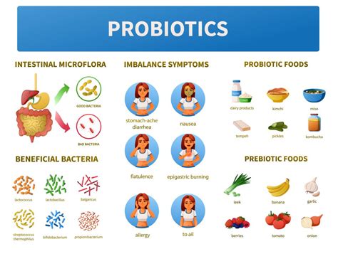 Probiotyki Prebiotyki Symbiotyki Pyszniegotujpl Tworzymy Z Myślą O