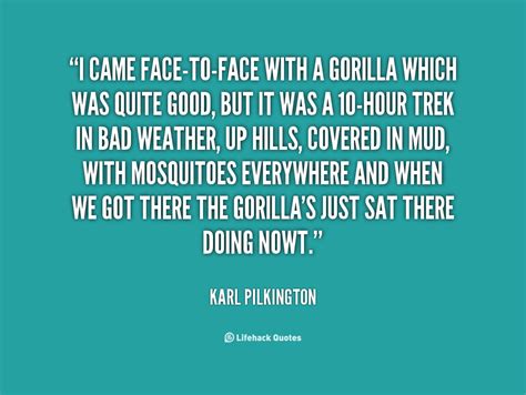 Gorilla Quotes Quotesgram