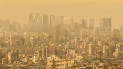 黄砂”は株式相場の 視界”にも影響？観測日の株価を調べてみた Money Plus
