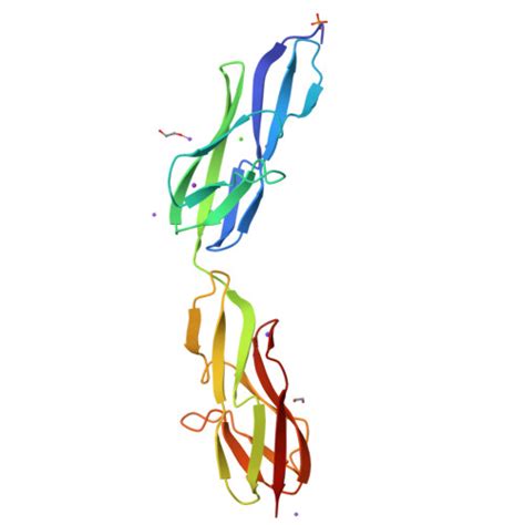RCSB PDB 8GYR Crystal Structure Of A Variable Region Segment Of