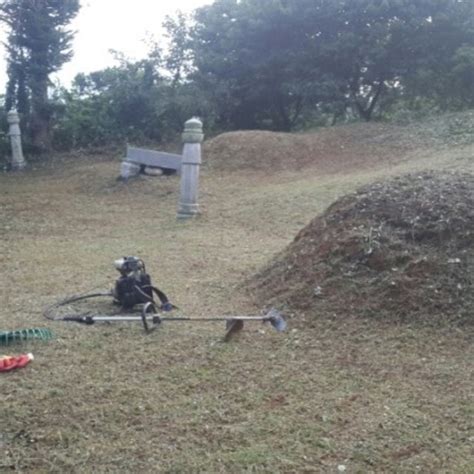 벌초 예초 동네업체