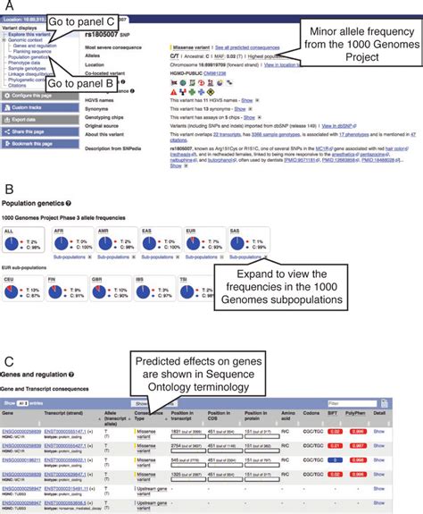 The Ensembl Variation Tab The Ensembl Variation Tab Provides A Wealth