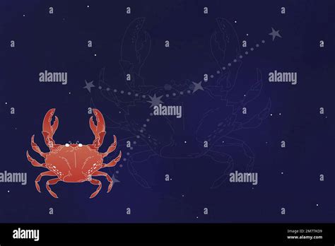 Cancer Astrological Sign Design Vector Stock Vector Image And Art Alamy