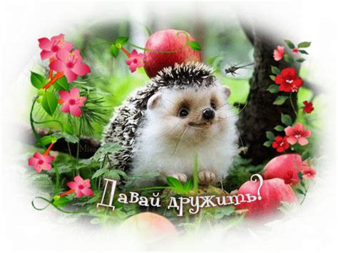 Анимированная открытка "Давай дружить"