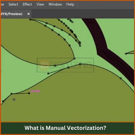 Manual Vectorization Vs Auto Tracing