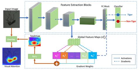The Pipeline Of The Proposed Methodology For The Classification Of Download Scientific Diagram