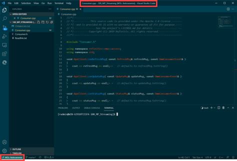 Coding And Testing Linux Applications On Windows