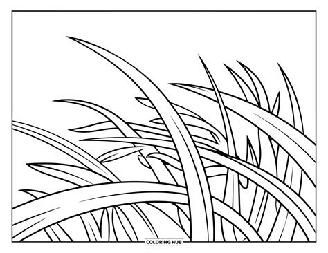 Grass Coloring Pages Pencil Drawing Clipart Green Tall Outlines Color