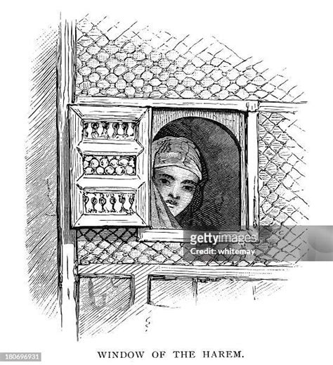 Person Looking Through A Window Drawing Photos And Premium High Res