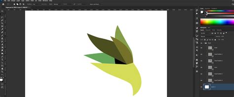 How To Stop Pixelation When Resizing A Vector Path Adobe Support
