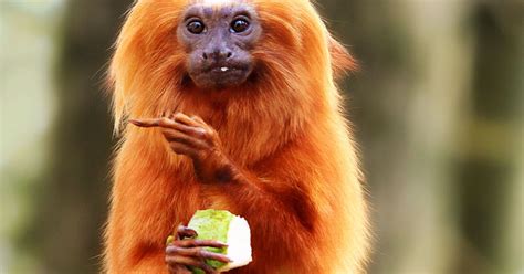 Whats The Difference Between Rationality And Rationalizing