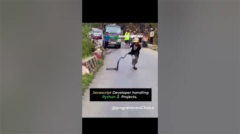 Tag Javascript Developer 😂bro Lied On His Job Application 😂python