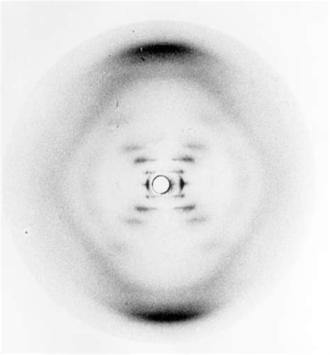 overlooked documents shed new light on double helix discovery news