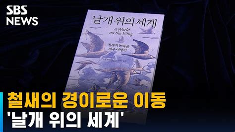 철새의 경이로운 이동 날개 위의 세계 Sbs 문화현장 Youtube