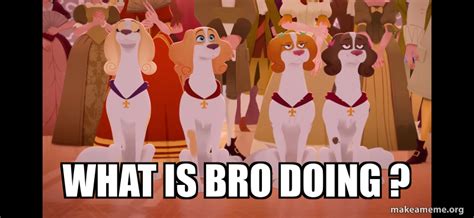 What Is Bro Doing Meme Generator