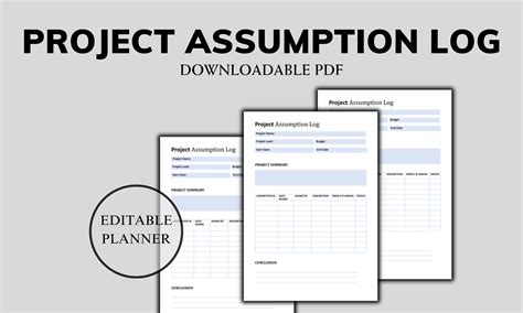 Editable Project Assumption Log Project Management Templates