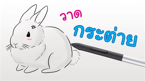วิธีการวาดการ์ตูน กระต่าย Youtube