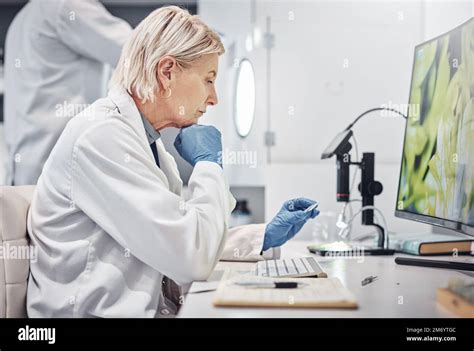 Science Research And Sample In Lab With A Doctor Woman Working On