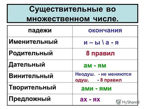 Фундамент во множественном числе фото