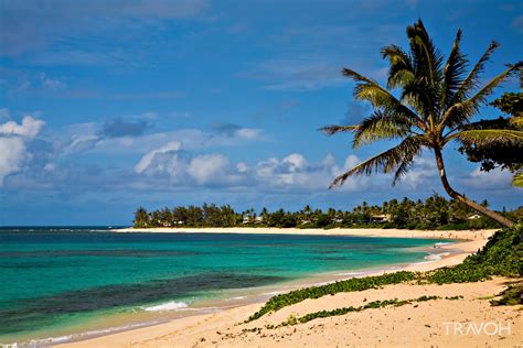 Exploring 10 Of The Top Beaches In Oahu Hawaii Travoh