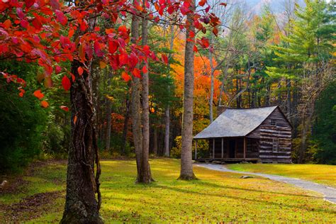 Autumn Serenity Man Made Cabin In 4k Ultra Hd