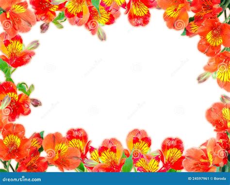 Marco Floral Con Las Flores Anaranjadas Y La Hoja Verde Imagen De