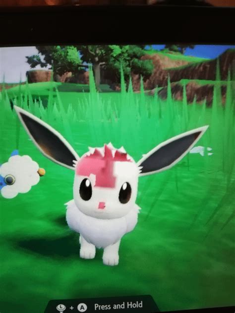 A Texture Mapping Glitch That Makes Eevee Look Like A Murderer R Eevee